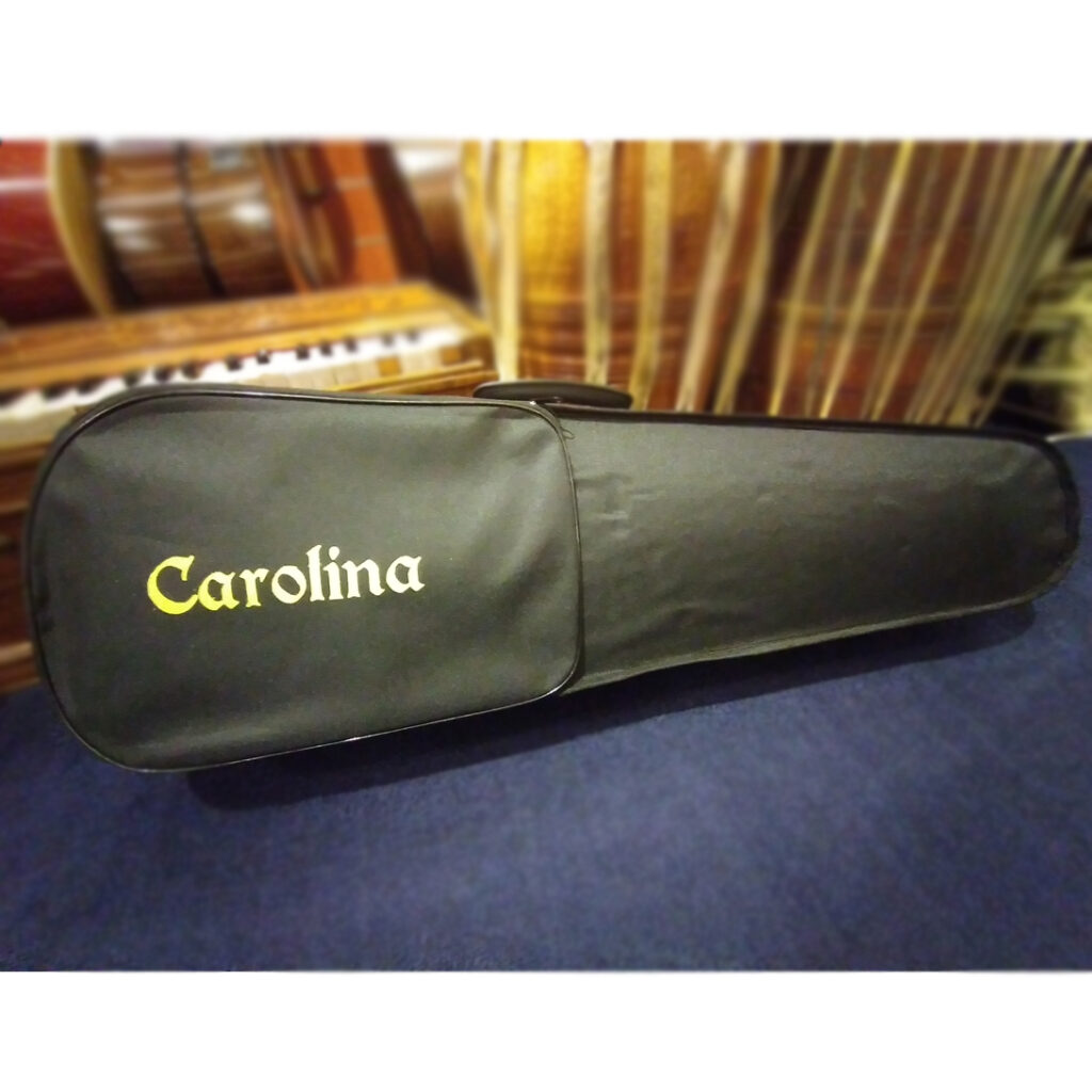 Carolina CV-100S Violin - Karu Music Center