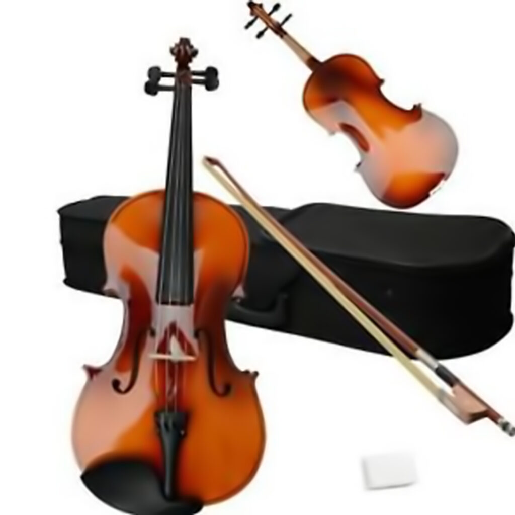Carolina Viola CV-150 - Karu Music Center